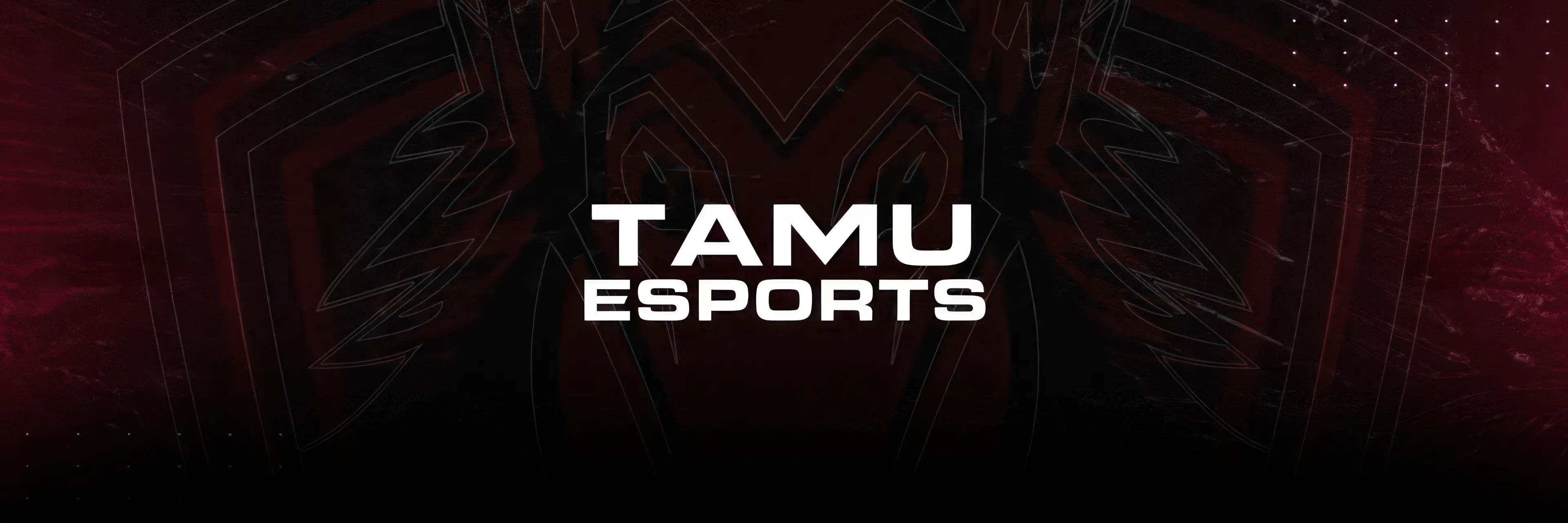 Texas A&M University Esports
